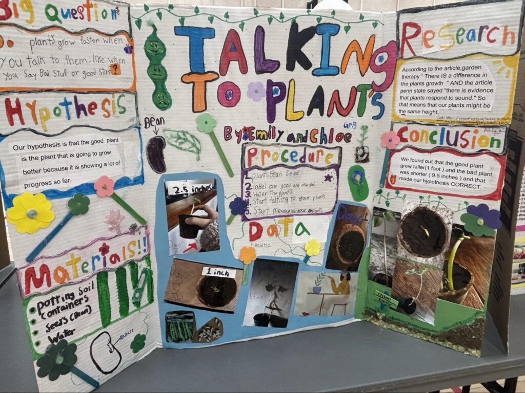 Monck Public School hosts first-ever Science Fair – Alexandra Public School